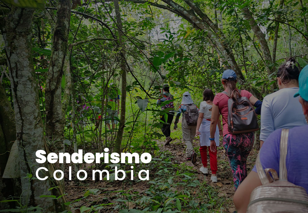 Palmar - cascada Chorro Alto - Palmar en Senderismo Colombia